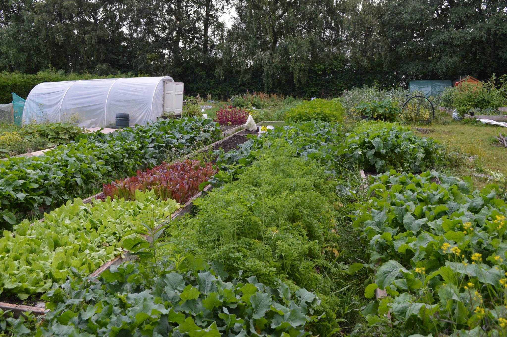 The Croft – Locavore