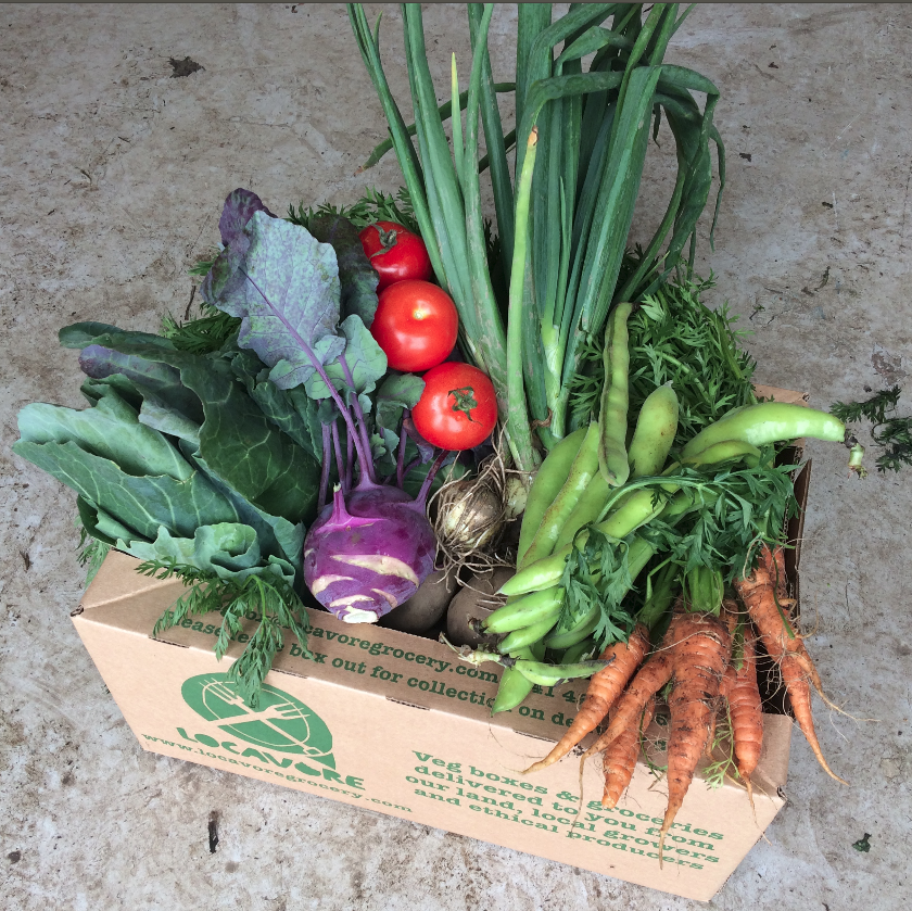 Veg Box Newsletter 9/6/17 – Locavore