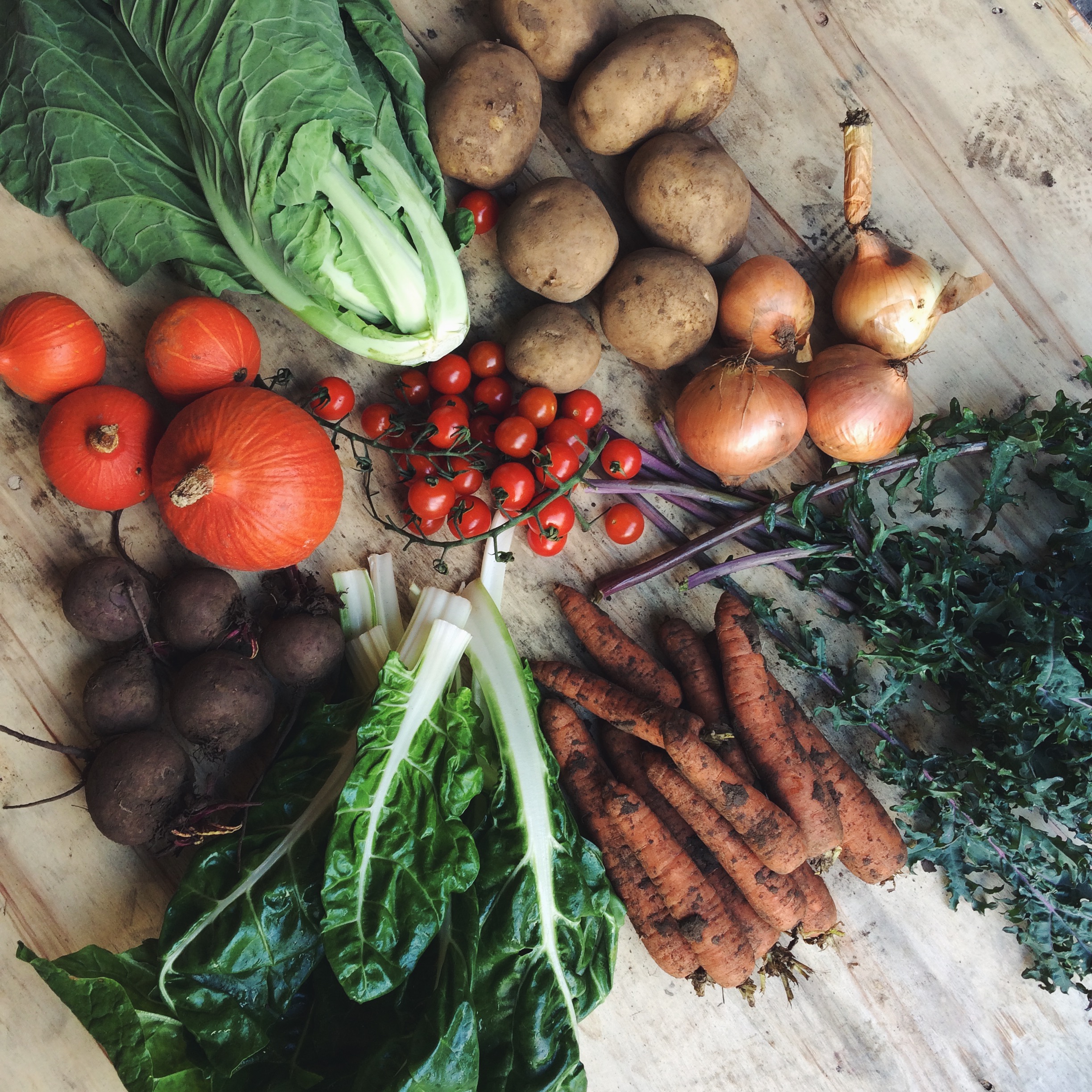 Locavore needs your help. – Locavore