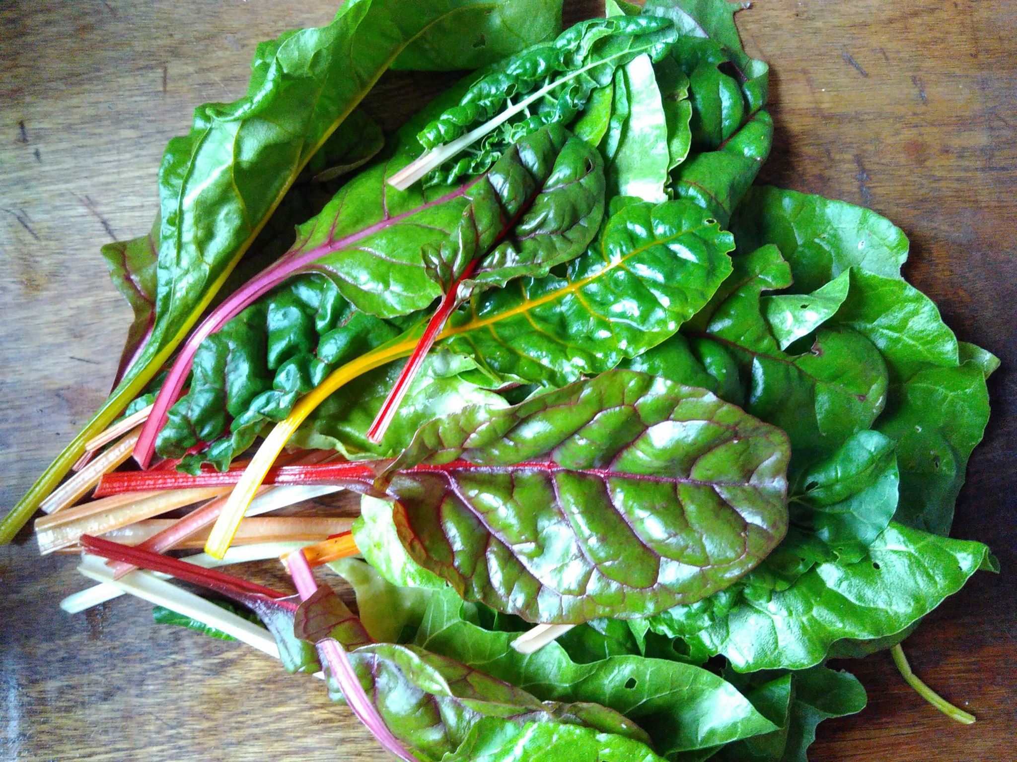 Veg Box Newsletter 8th August: Fresh Raw Salads – Locavore