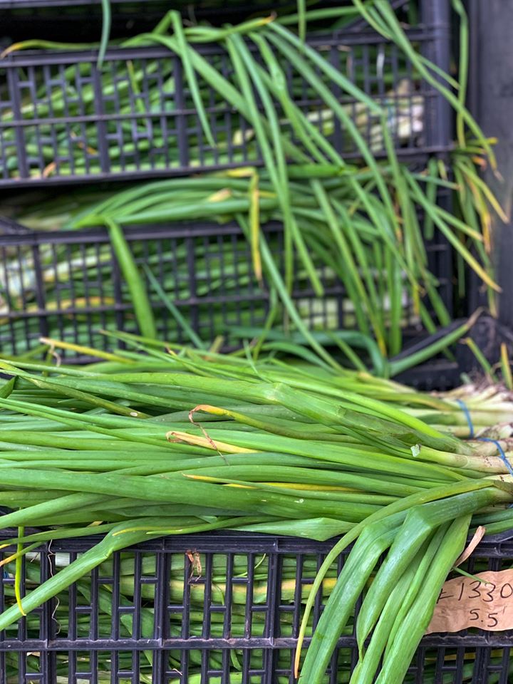 Spring Onion and Cheddar Scone Recipe – Locavore